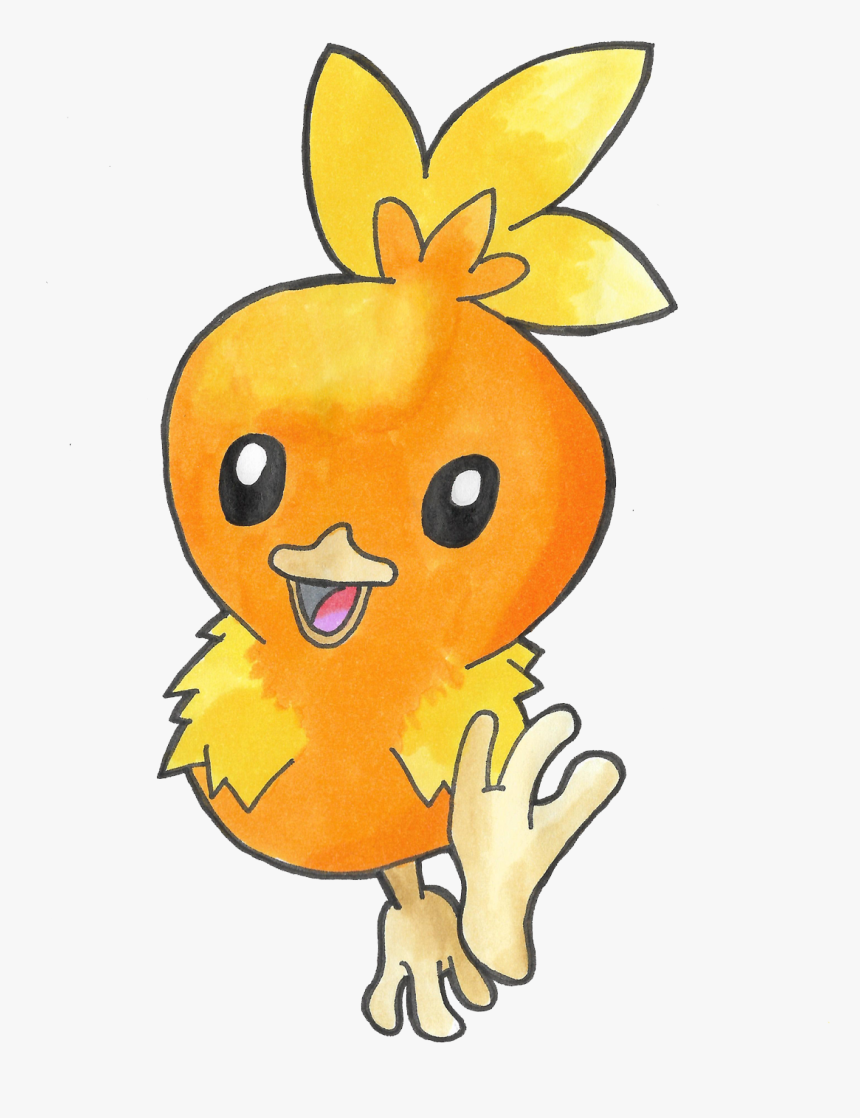 Today I Was Deciding Between Torchic And Piplup, HD Png Download ...