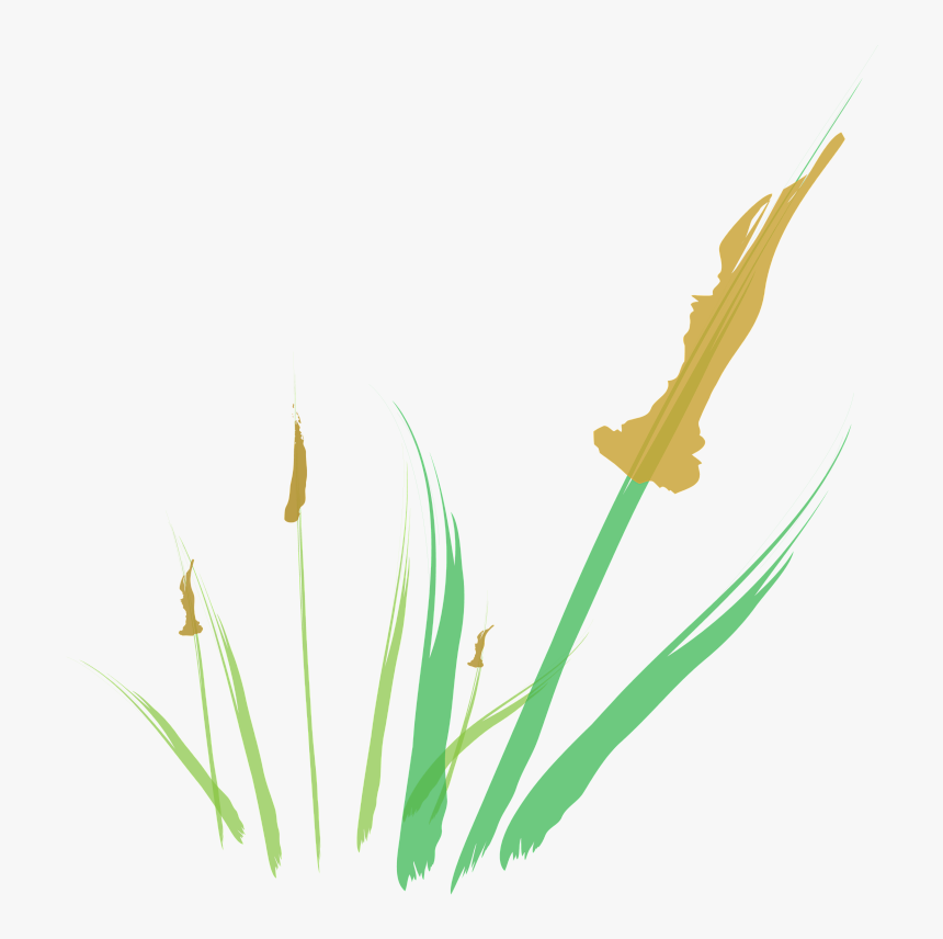 Cattails Png, Transparent Png , Transparent Png Image - PNGitem