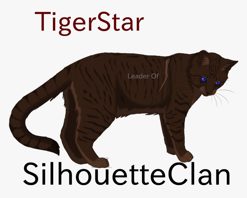 Wild Cat, HD Png Download , Transparent Png Image - PNGitem