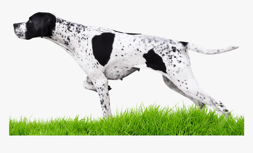 Pointers Png, Transparent Png , Transparent Png Image - PNGitem