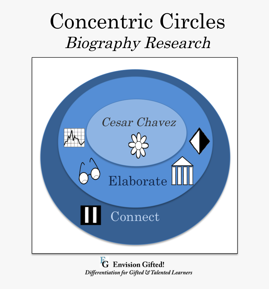 Concentric Circles Png, Transparent Png , Transparent Png Image - PNGitem