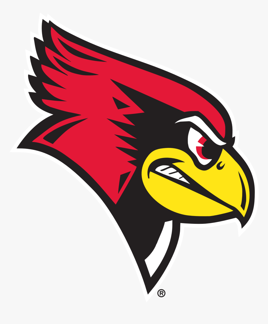 Red Bird Png, Transparent Png , Transparent Png Image - PNGitem