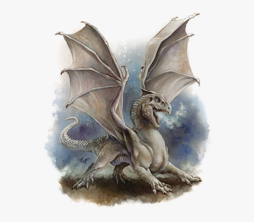 D&d White Dragon Wyrmling, HD Png Download , Transparent Png Image ...