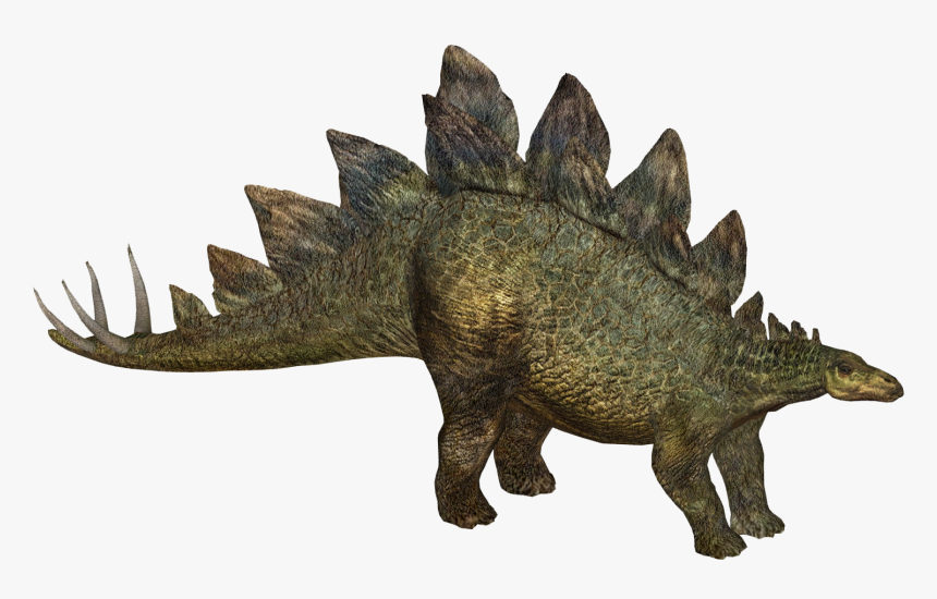 Stegosaurus Png, Transparent Png , Transparent Png Image - PNGitem