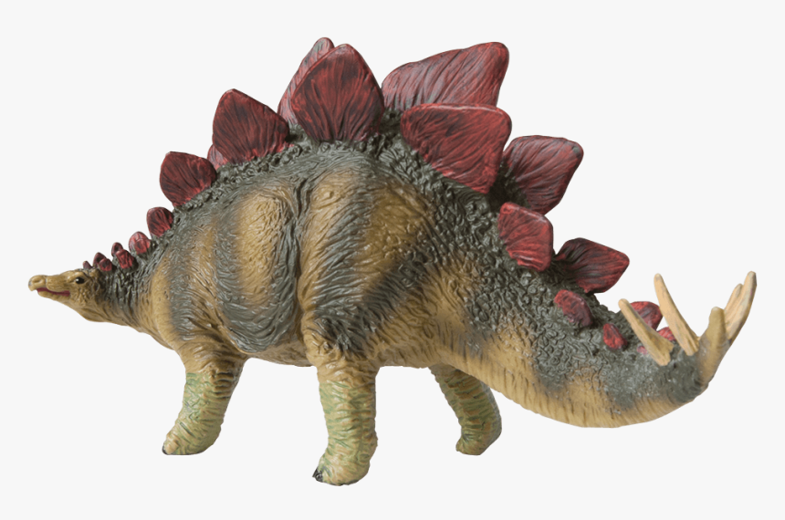 Stegosaurus Png, Transparent Png , Transparent Png Image - PNGitem