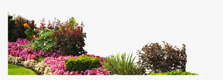 Tree Service, HD Png Download , Transparent Png Image - PNGitem