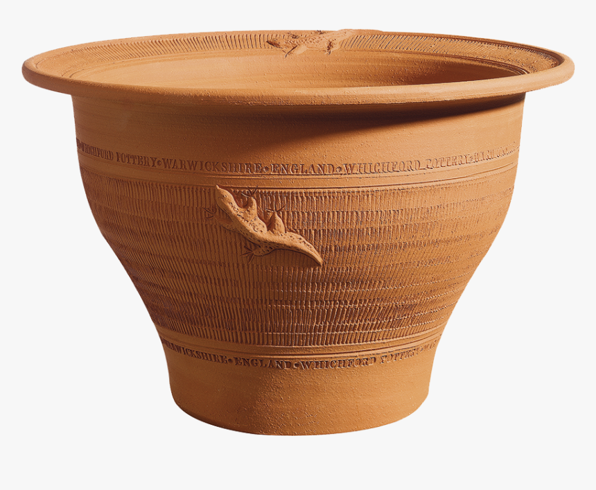 Salamander Png, Transparent Png , Transparent Png Image - PNGitem