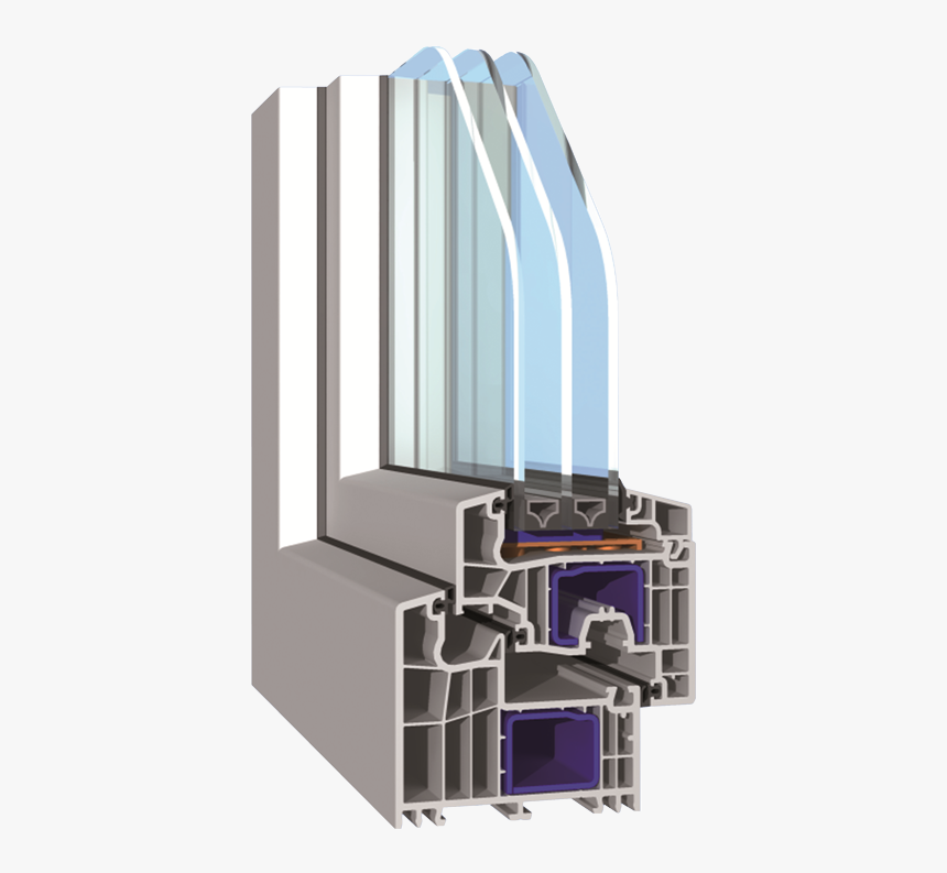 Salamander Png, Transparent Png , Transparent Png Image - PNGitem