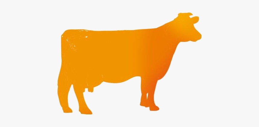 Transparent Beef Cattle Png - Dairy Cow, Png Download , Transparent Png ...
