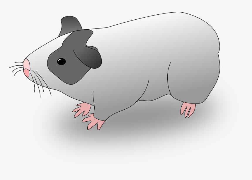 Marmut Kartun, HD Png Download , Transparent Png Image - PNGitem