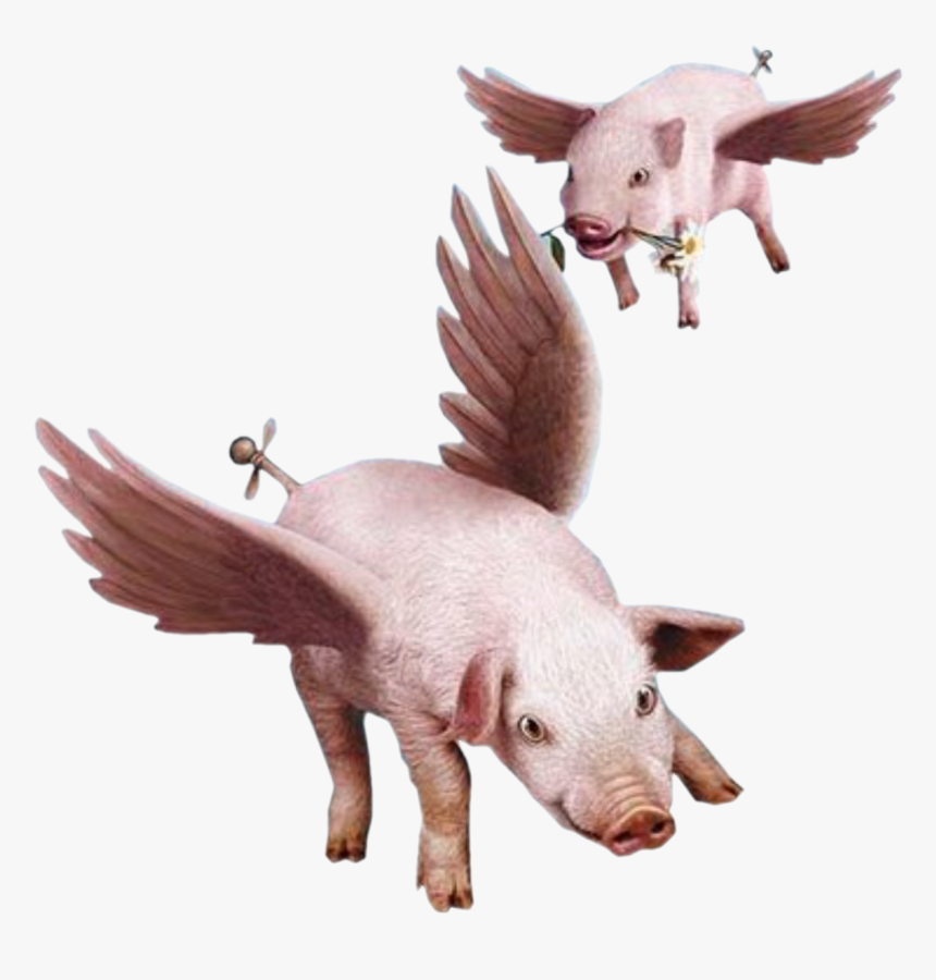 Flying Pig Clipart