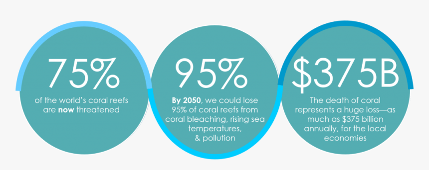 Experience Png, Transparent Png , Transparent Png Image - PNGitem