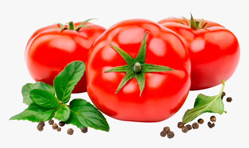 Light Ketchup, HD Png Download , Transparent Png Image - PNGitem