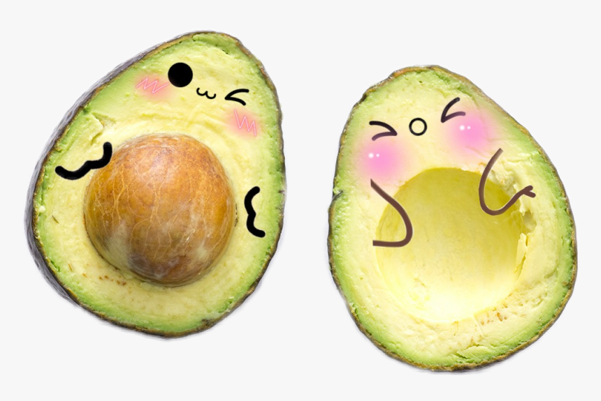 Avocado, HD Png Download , Transparent Png Image - PNGitem