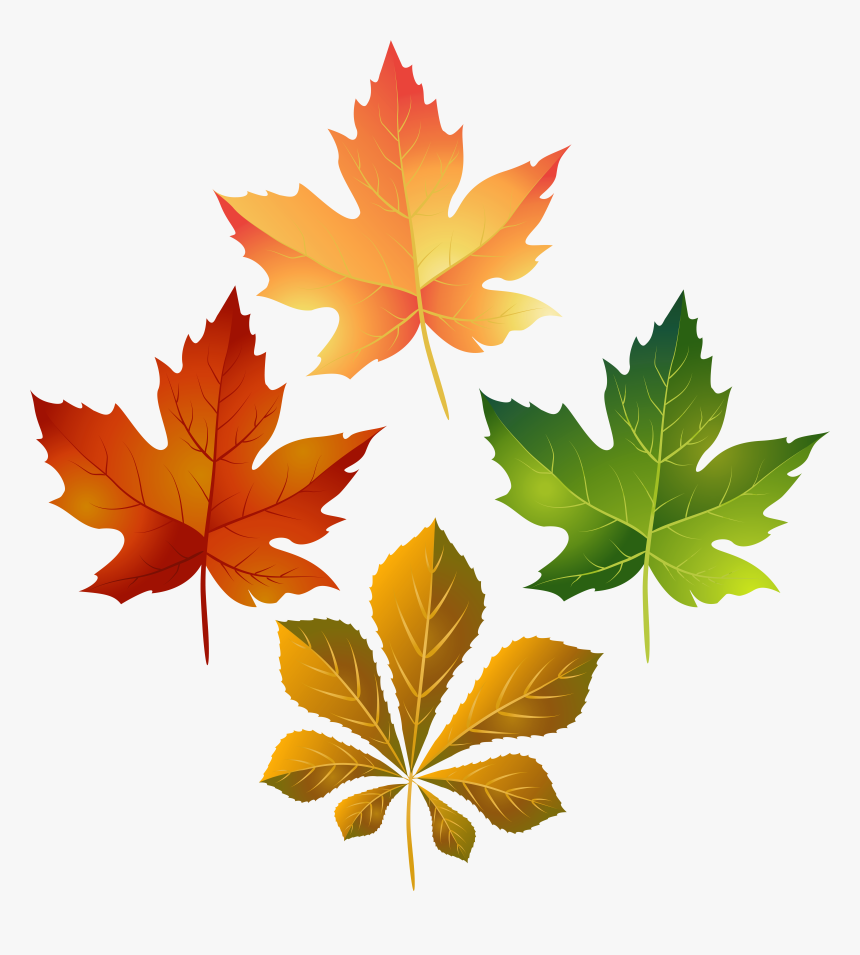 Clip Art Colorful Fall Leaves Clipart, HD Png Download , Transparent ...
