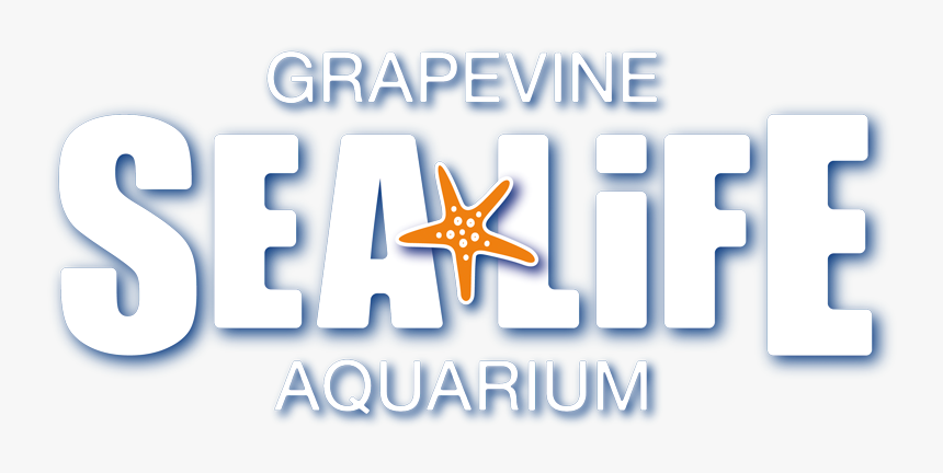Sea Life Centre, HD Png Download , Transparent Png Image - PNGitem