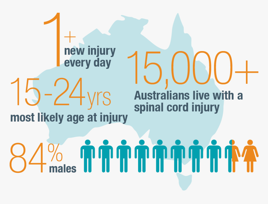 Statistics For Spinal Cord Injuries In Australia, HD Png Download ...