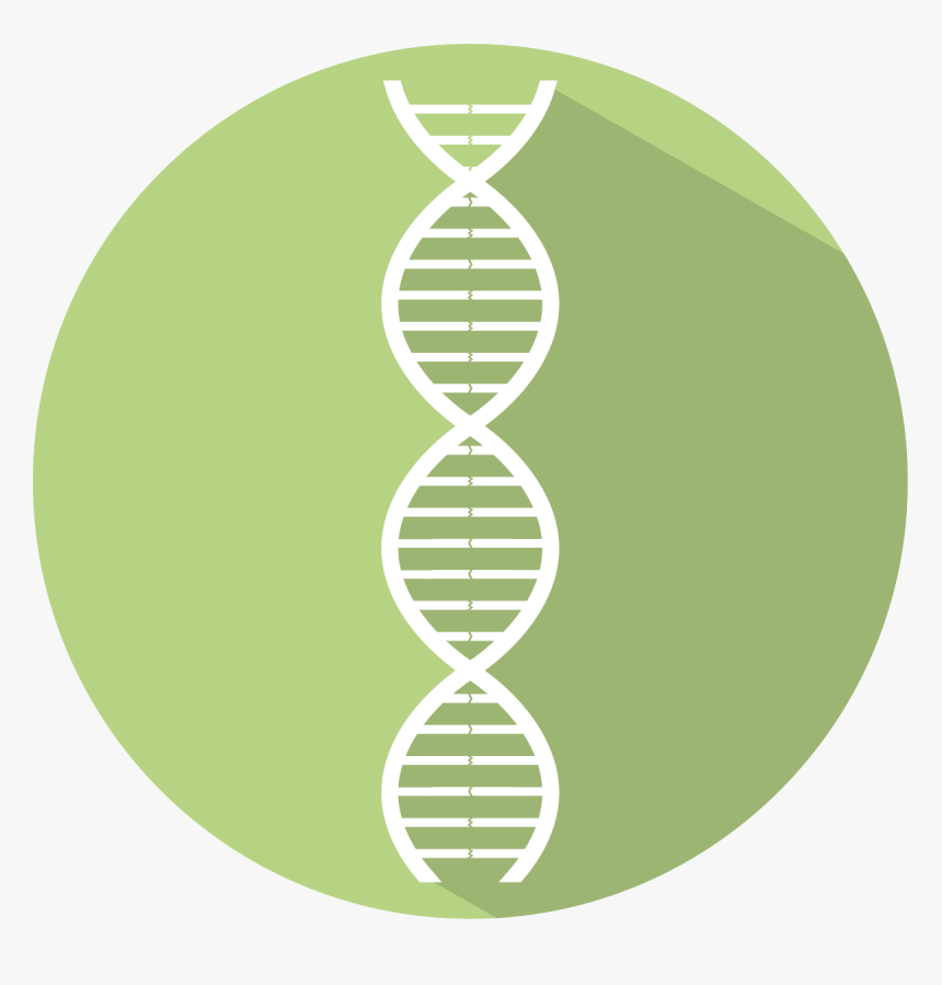 Png Dna Icon Green, Transparent Png , Transparent Png Image - PNGitem