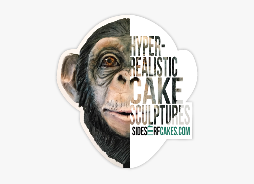 Fyi Tv18 Texas Cake House, HD Png Download , Transparent Png Image ...