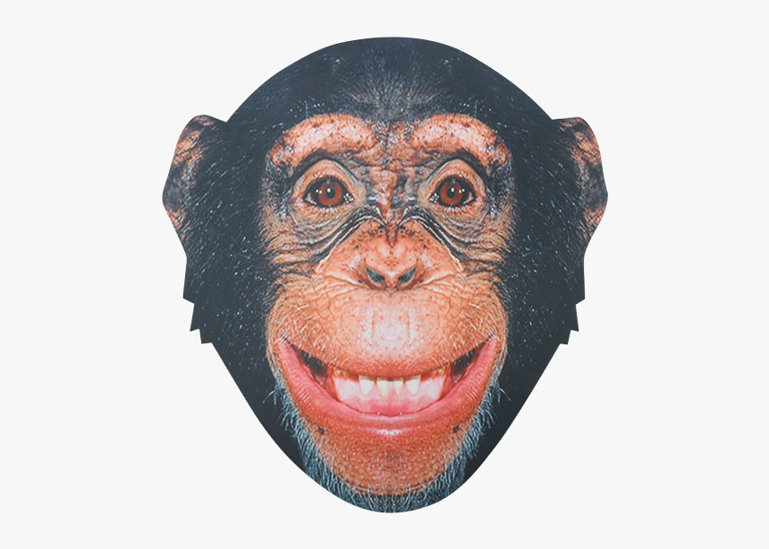 Chimp Face Png, Transparent Png , Transparent Png Image - PNGitem