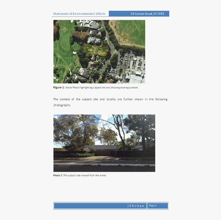 Aerial Tree Png , Png Download - Tree, Transparent Png , Transparent ...