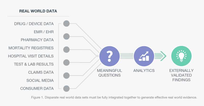 Rwe Diagram - Real World Data Evidence, HD Png Download , Transparent ...