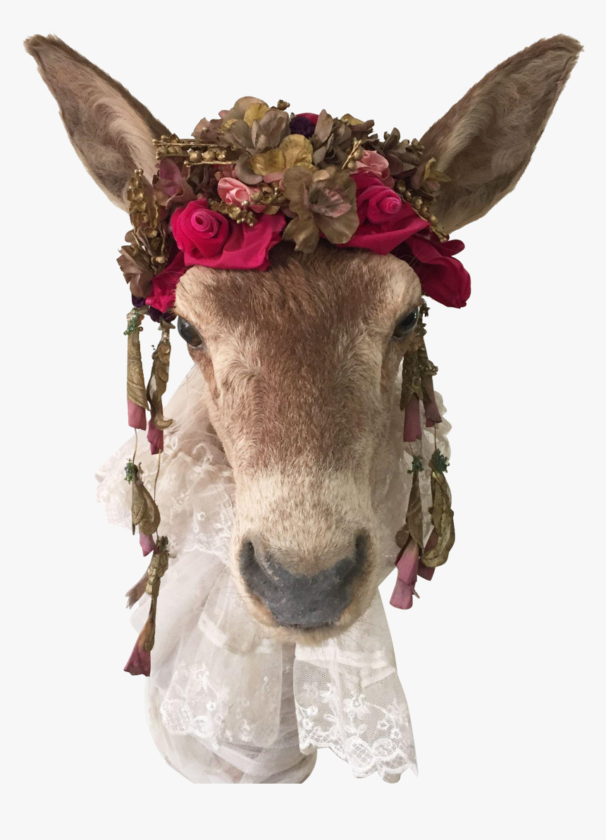 Horse Livestock Donkey Animal Mammal - Donkey Head Png, Transparent Png ...