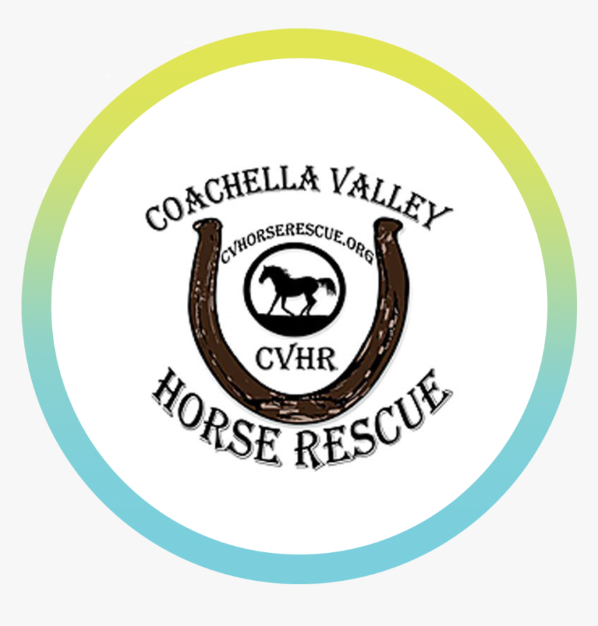 Transparent Coachella Png - Pink Pirate Invitations, Png Download ...