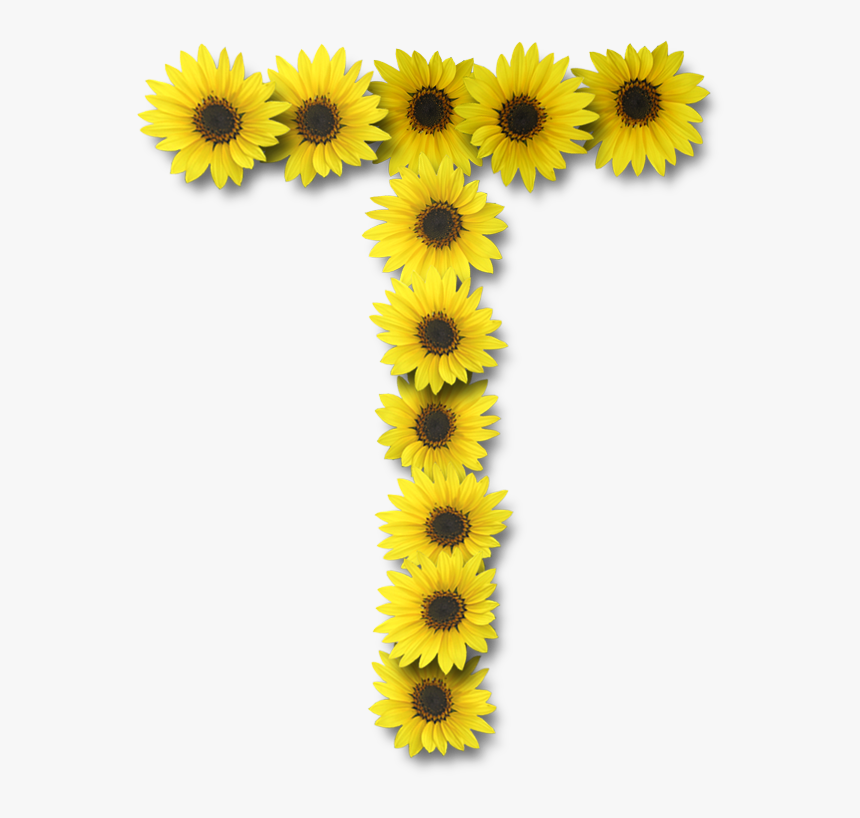 Sunflower Alphabet Png - Sunflower Letters Png, Transparent Png ...
