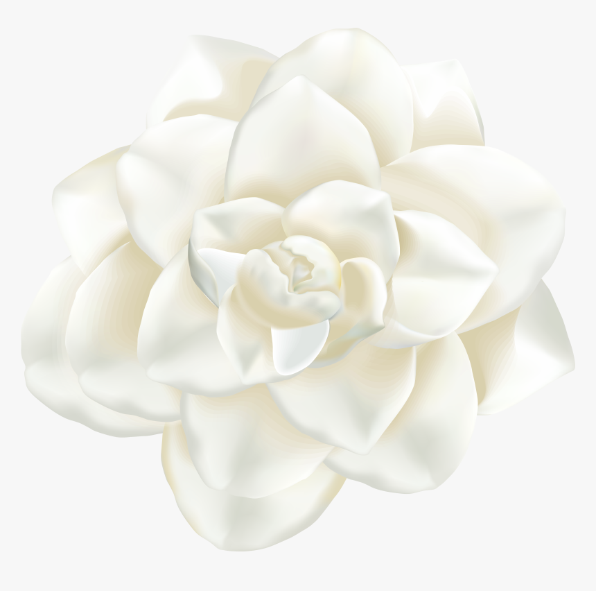 White Flower Clipart Png, Transparent Png , Transparent Png Image - PNGitem