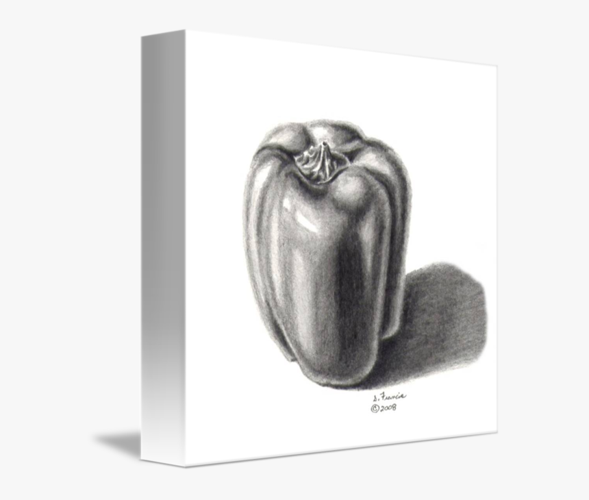 Drawing Vegetable Pepper - Green Pepper Drawing, HD Png Download ...