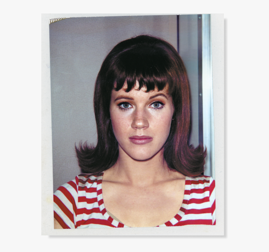 Amy Heckerling, HD Png Download , Transparent Png Image - PNGitem