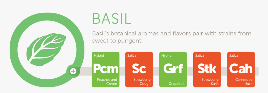 Basil@2x - Sign - Graphic Design, HD Png Download , Transparent Png ...