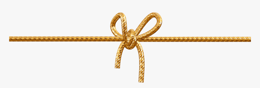Transparent Rope Vector Png - Transparent Background Gold Rope, Png ...