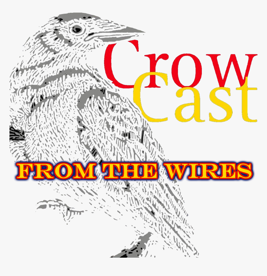 Old World Flycatcher, HD Png Download , Transparent Png Image - PNGitem