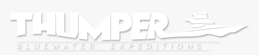 Thumper Logo, HD Png Download , Transparent Png Image - PNGitem