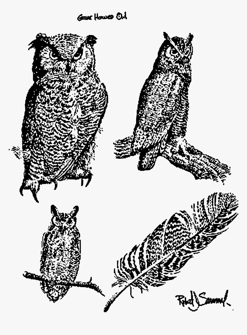 Great Horned Owl Bird Of Prey Snowy Owl - Vector Great Horned Owl, HD ...