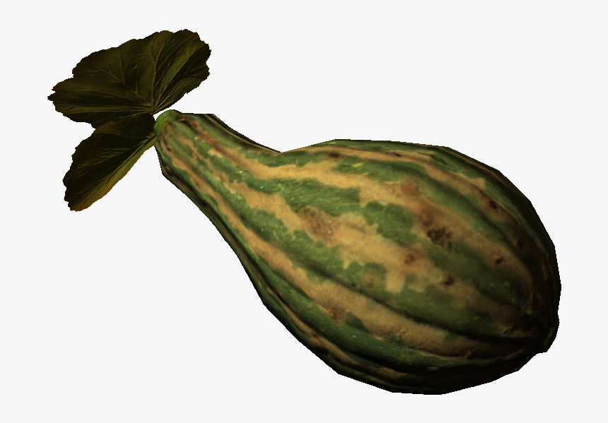Gourd - Gourd Skyrim, HD Png Download , Transparent Png Image - PNGitem