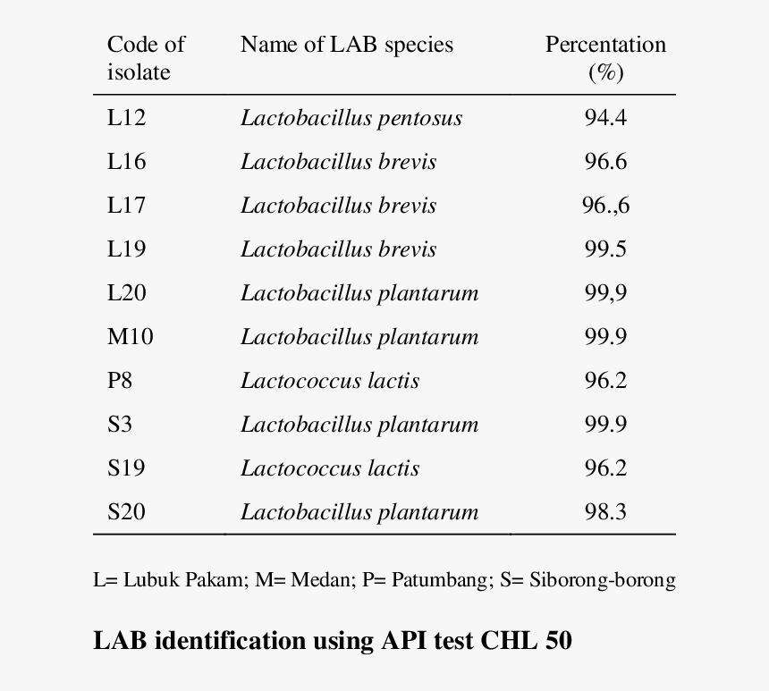Api 50 Chl Identification Table, HD Png Download , Transparent Png ...