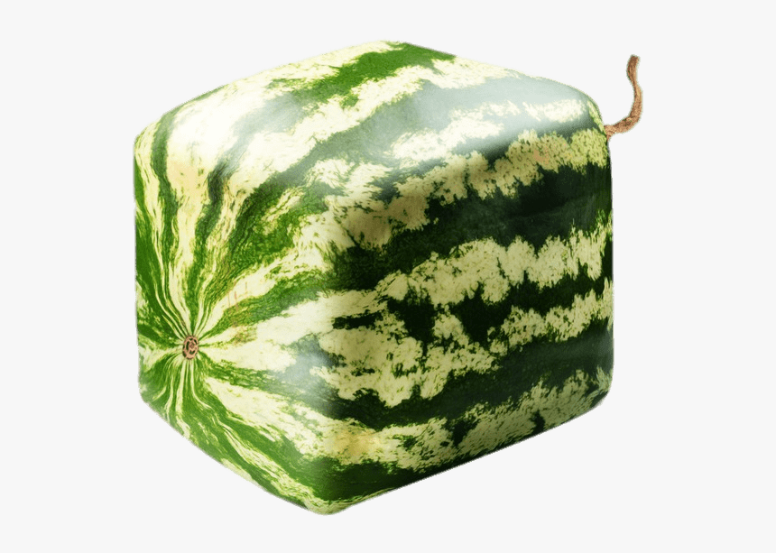 Square Watermelon - Square Watermelon Cut In Half, HD Png Download ...