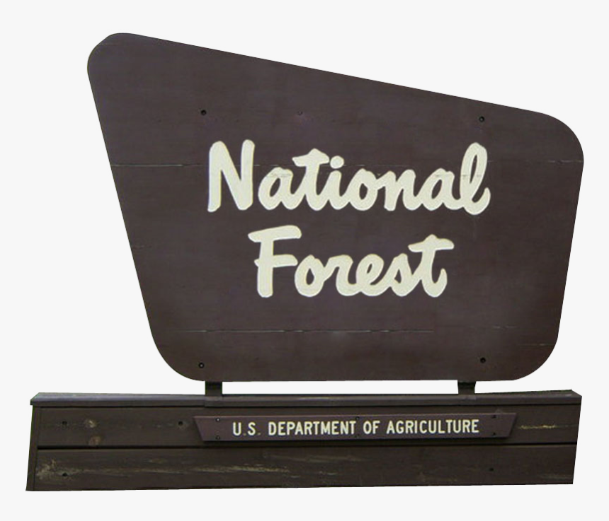 National Forest, HD Png Download , Transparent Png Image - PNGitem