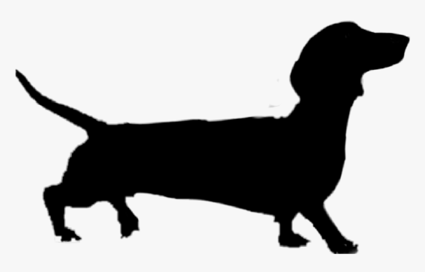 Weiner Dog Pumpkin Stencil
