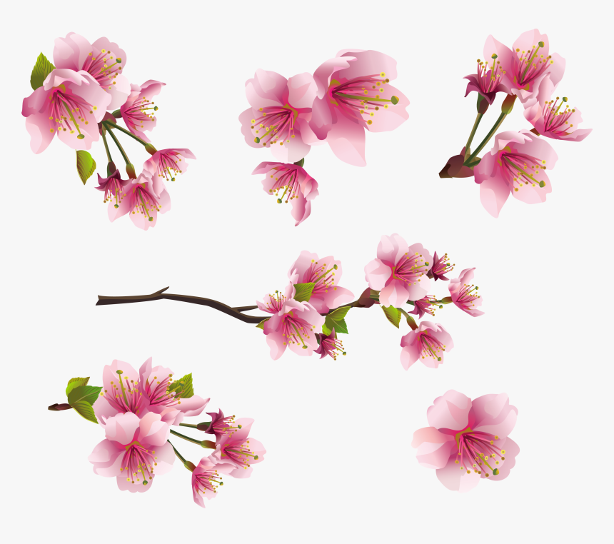 Flower Spring Png - Pink Tiny Flowers Png, Transparent Png ...