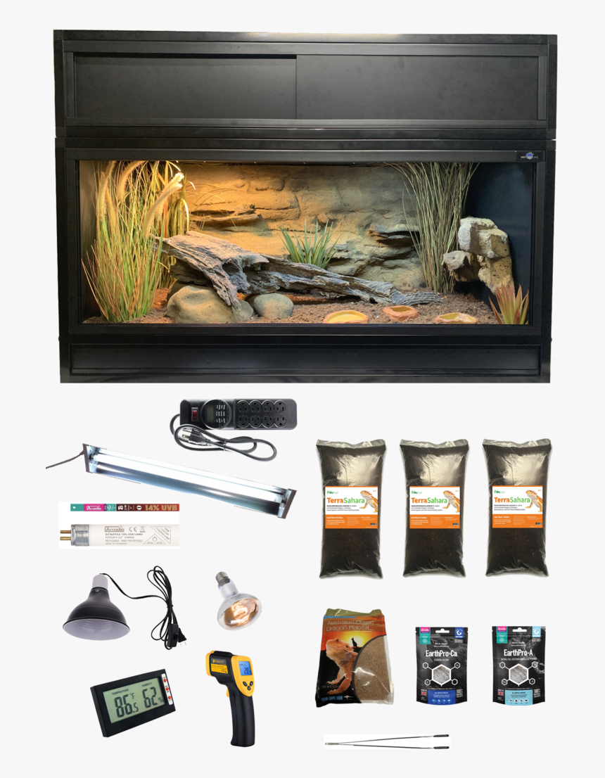 Setup A Leopard Gecko Terrarium, HD Png Download , Transparent Png ...