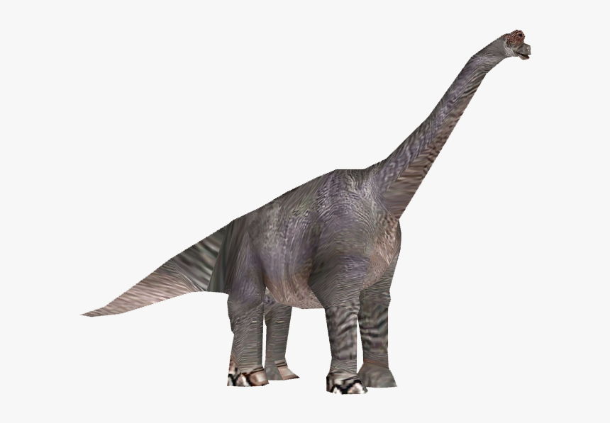 Dinosaur - Brachiosaurus Transparent Png, Png Download , Transparent ...