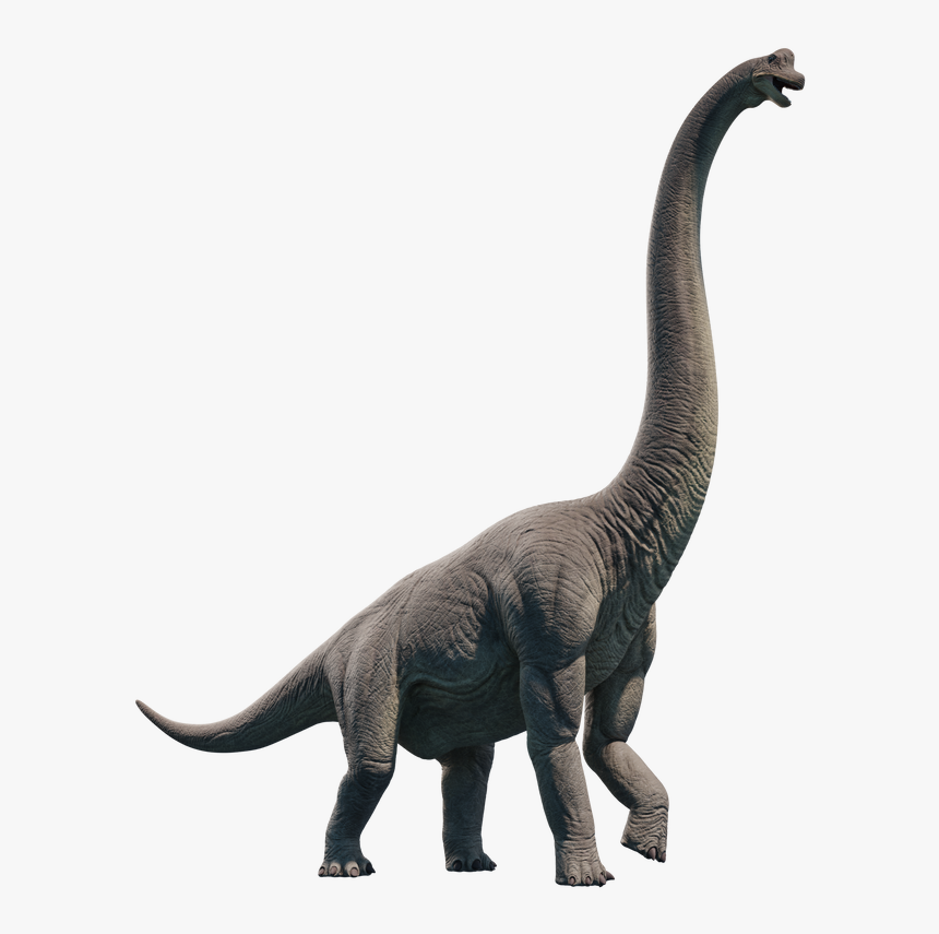 3d - Tyrannosaurus - Lesothosaurus, HD Png Download , Transparent Png ...