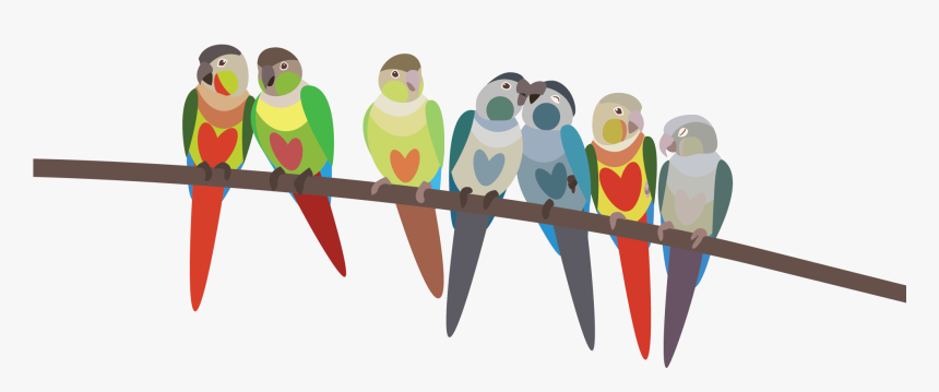Parakeet Png, Transparent Png , Transparent Png Image - PNGitem
