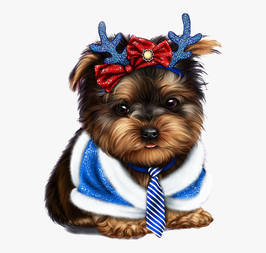 Yorkie, Yorkies, Yorkshire Terrier, Yorkshire Terriers - Yorkie Vector ...