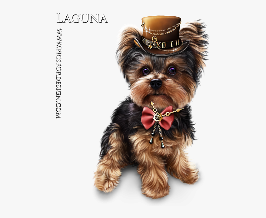 Yorkshire-terrier - Yorkshire Terrier, HD Png Download , Transparent ...