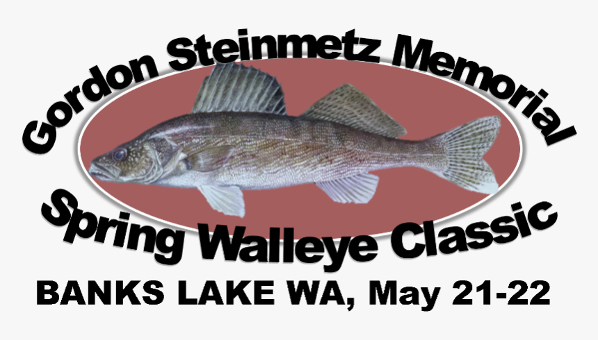 Yellow Cab Houston, HD Png Download , Transparent Png Image - PNGitem